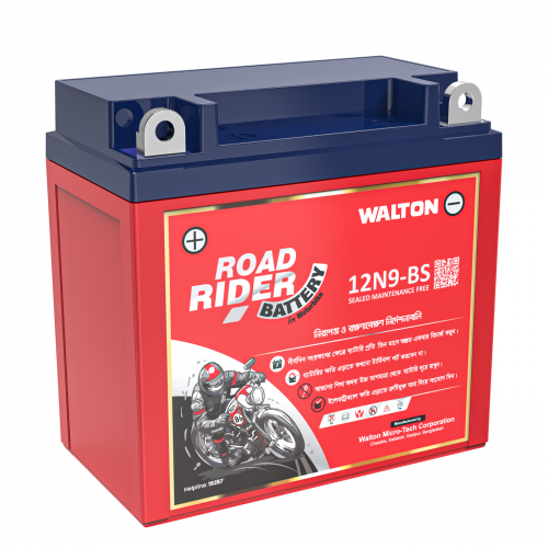 Road Rider 12N9-BS