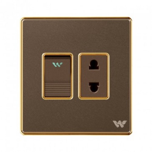 2 Pin Socket With Switch