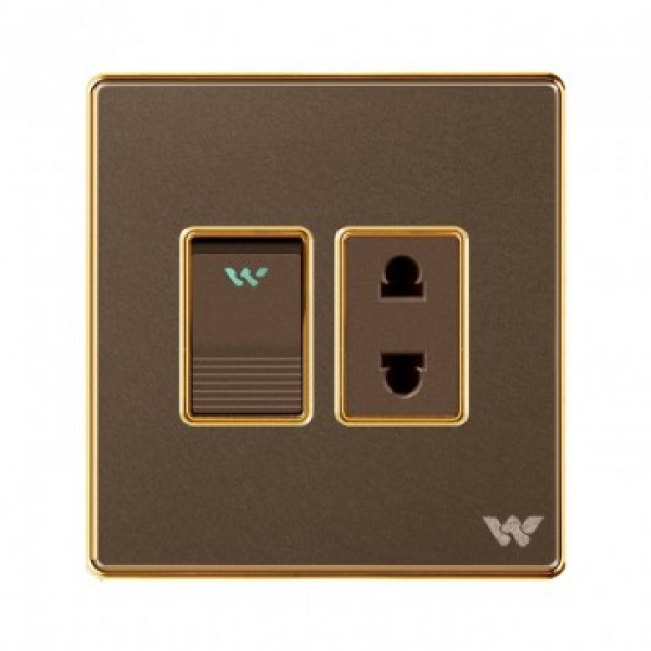 2 Pin Socket With Switch