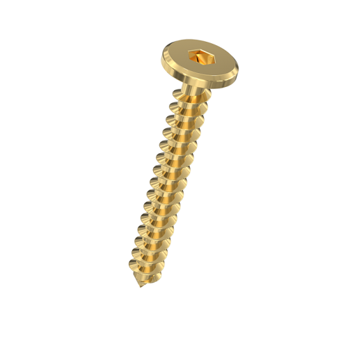Furniture Screw (JCBC)