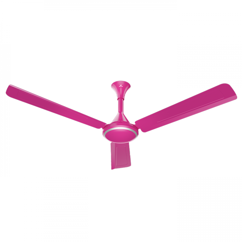 WCF5605 Popular Ceiling Fan (56")